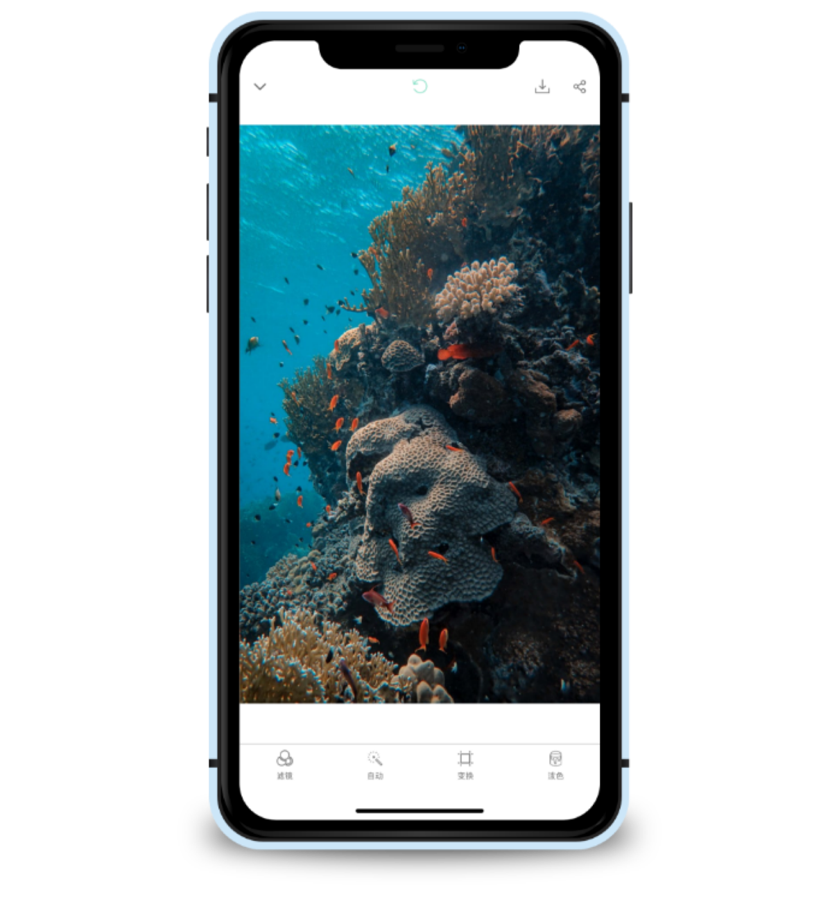 CHASING DORY Underwater Drone_Small & Portable Underwater Drone